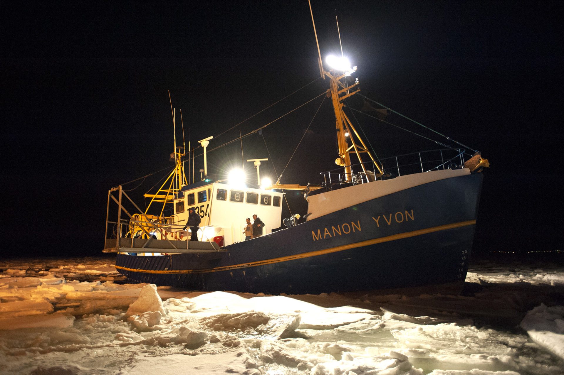 Harp Seals – Gulf of St.Lawrence – David Doubilet and Jennifer Hayes